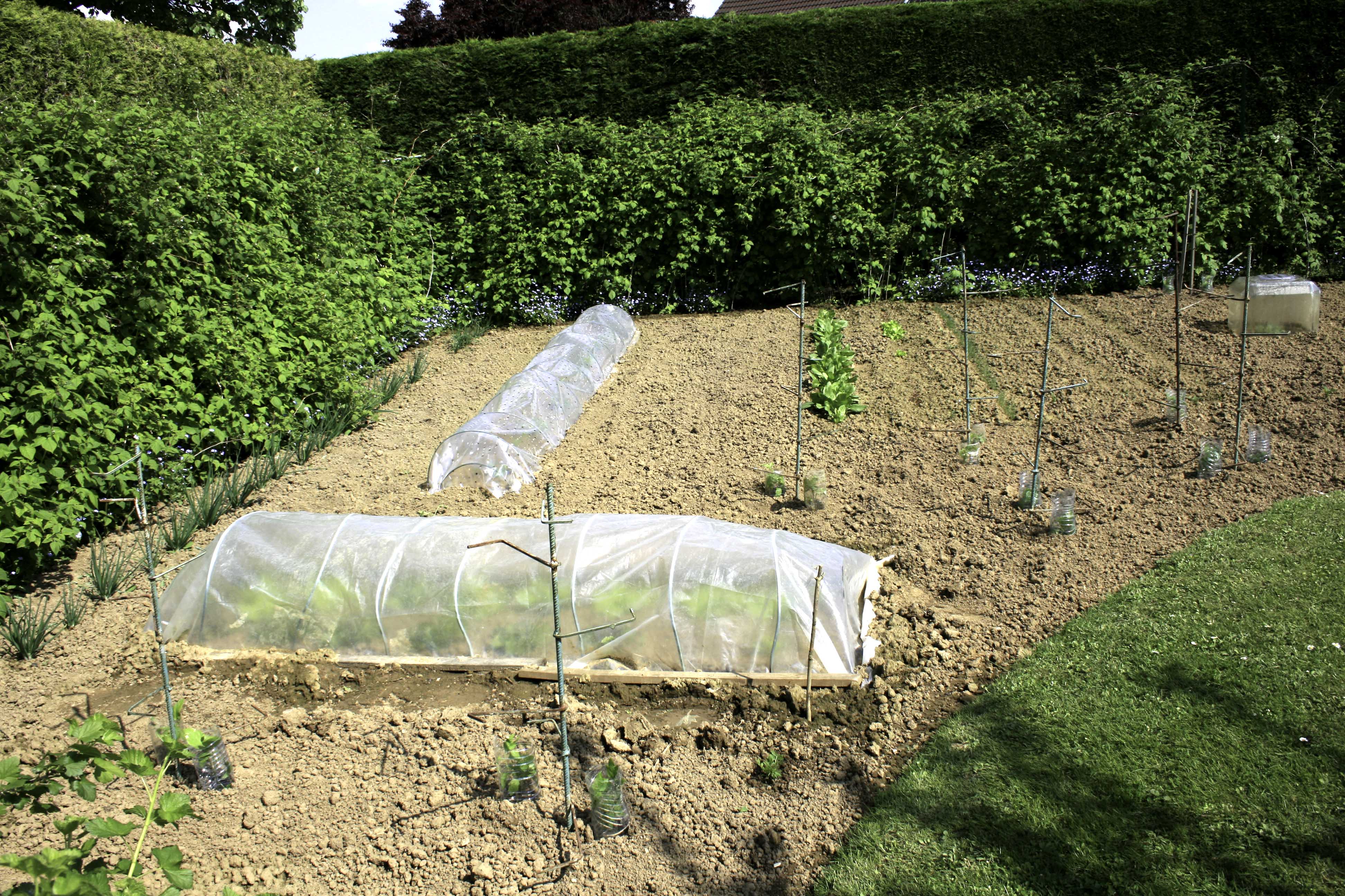 Le potager de Chagran - Jardins du Nord forum régional site de conseils ...