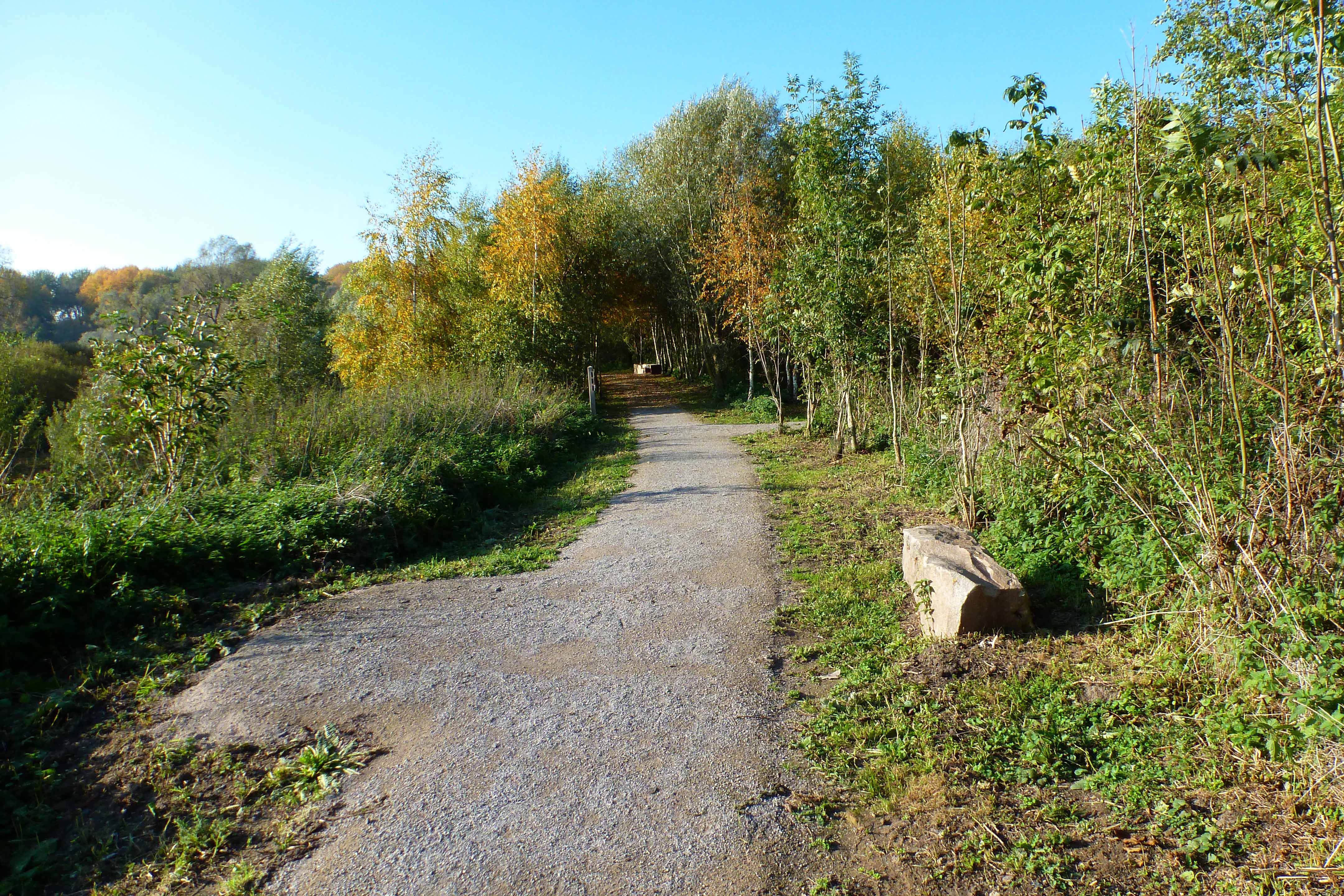 Chemin pédestre de l'étang d'Hamel - Jardins du Nord forum régional ...
