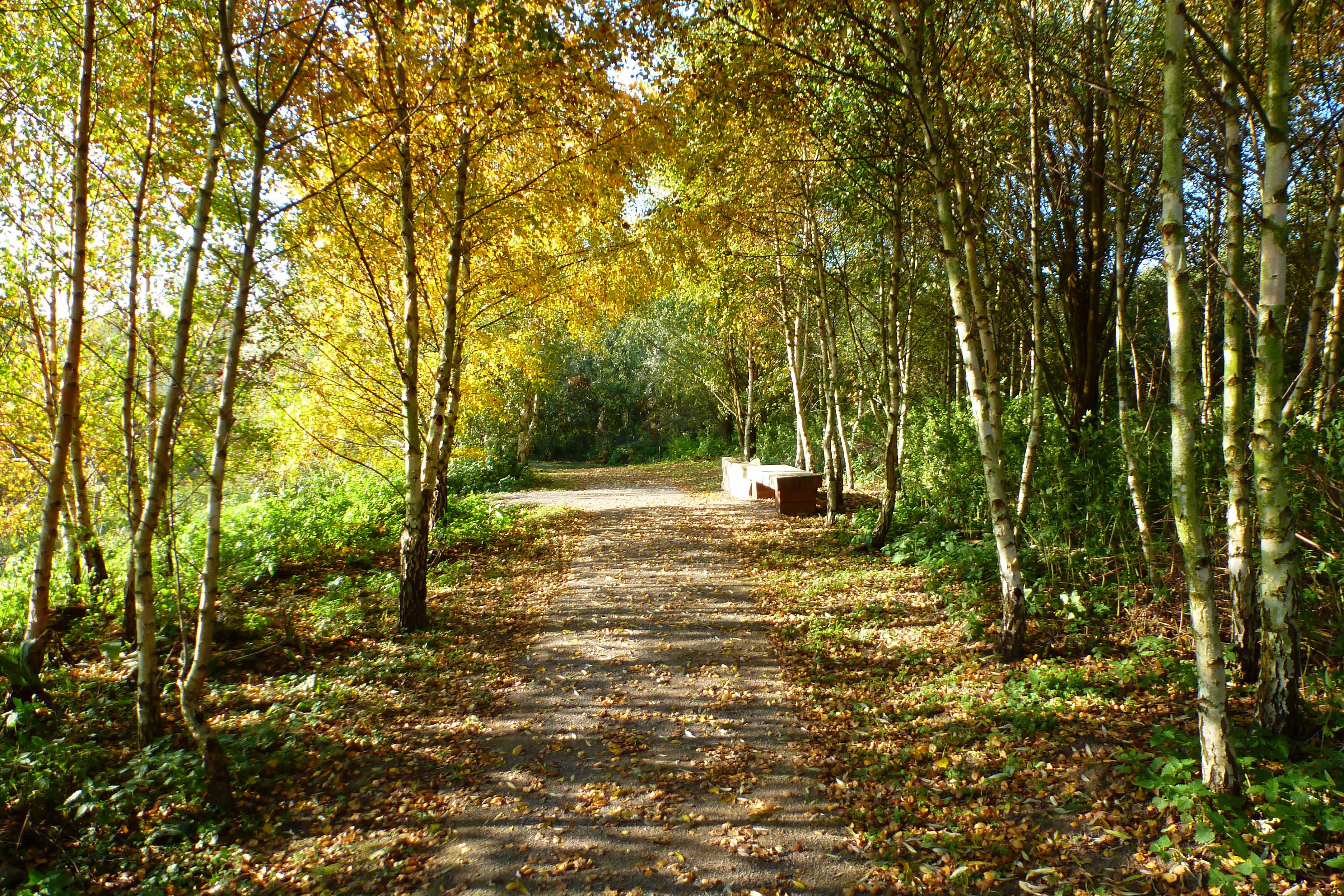 Chemin pédestre de l'étang d'Hamel - Jardins du Nord forum régional ...