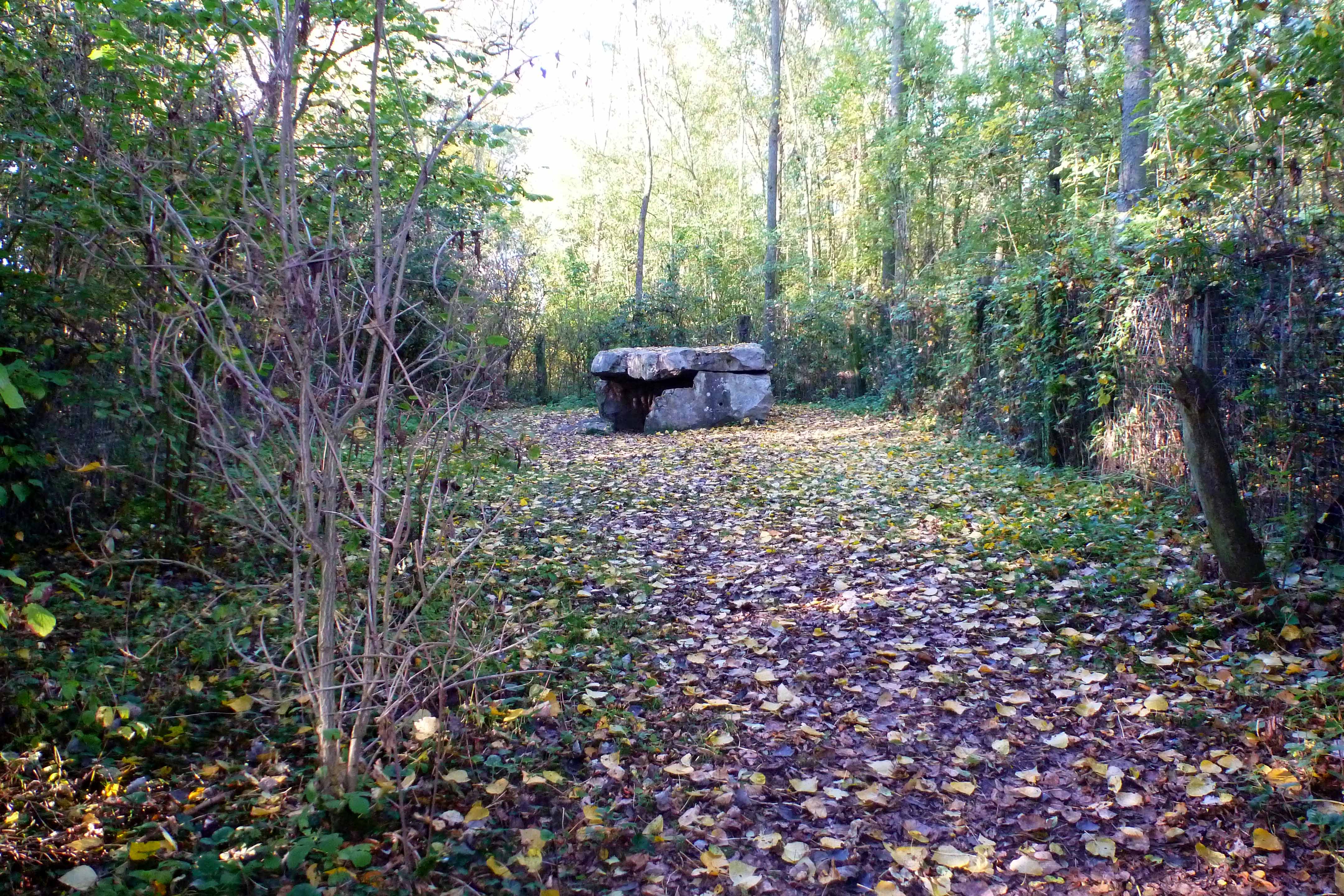 Chemin pédestre de l'étang d'Hamel - Jardins du Nord forum régional ...