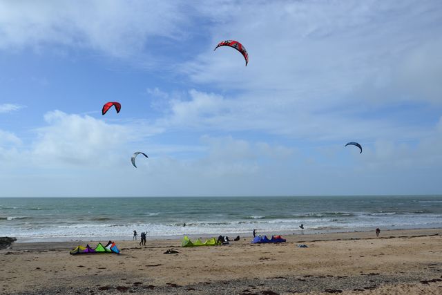 dans le Cotentin ( 50 ) - Jardins du Nord forum régional site de ...