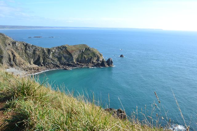 dans le Cotentin ( 50 ) - Jardins du Nord forum régional site de ...
