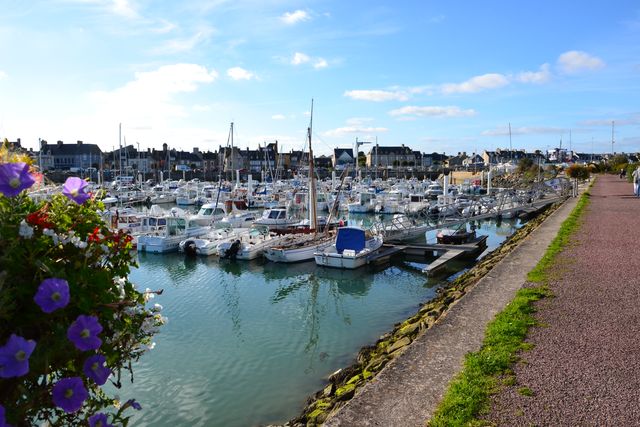 dans le Cotentin ( 50 ) - Jardins du Nord forum régional site de ...