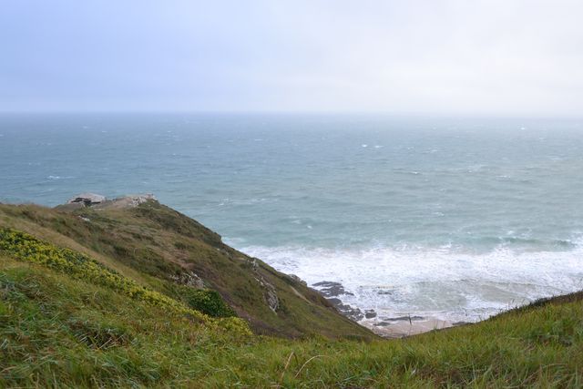 dans le Cotentin ( 50 ) - Jardins du Nord forum régional site de ...